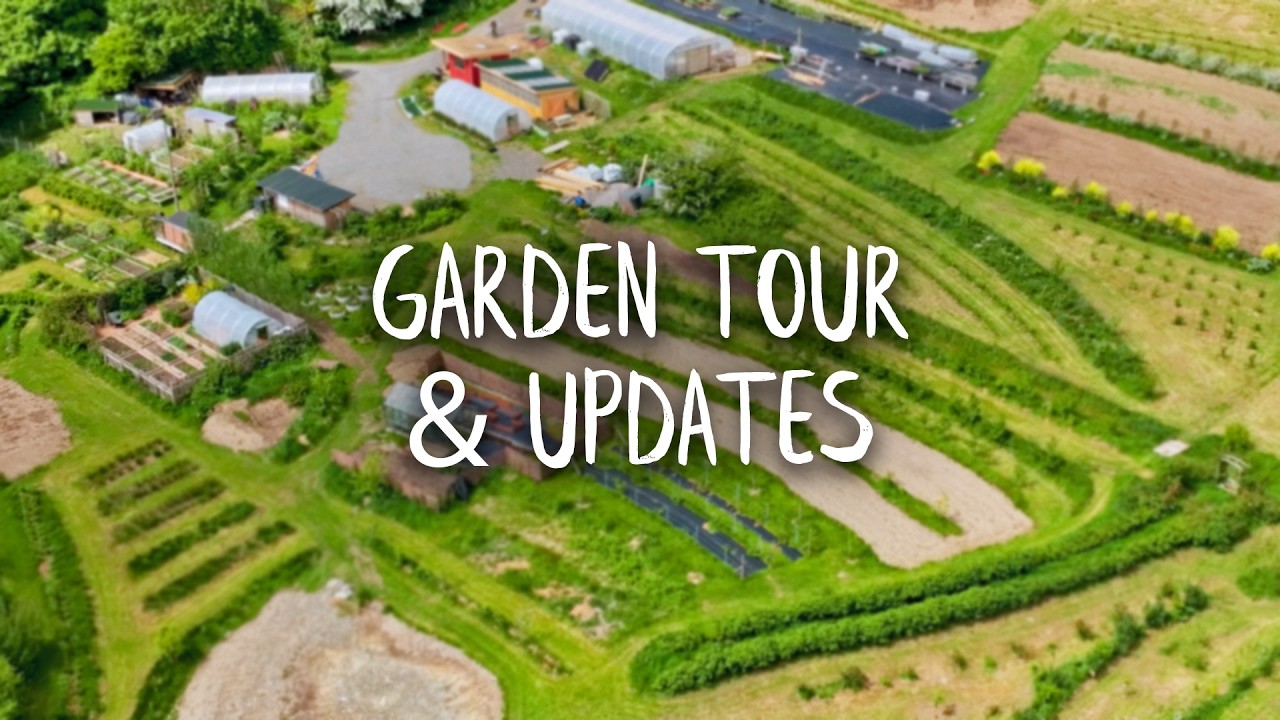 Things Have Changed Around Here | Huw's Garden Diary