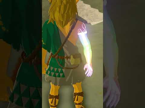 This Mod makes Link JUMP GOODER in Tears of the Kingdom
