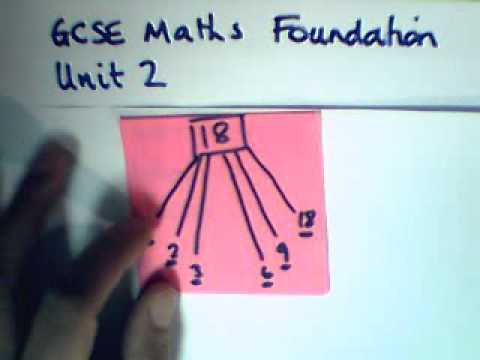 What is a factor.flv
