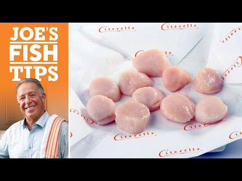 How to Buy Scallops