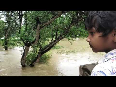 #poem Sorrow of Bihar | मैं कोसी हूँ | Yes, I'm Kosi