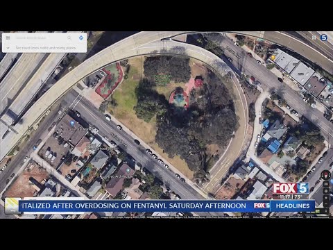 Homicide Investigation Underway At Chicano Park