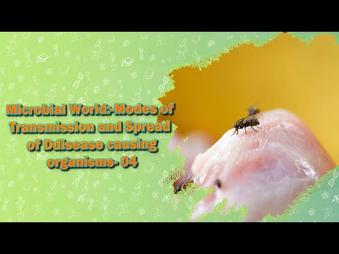 Microbial World:-Modes of Transmission and Spread of Ddisease causing organisms-04