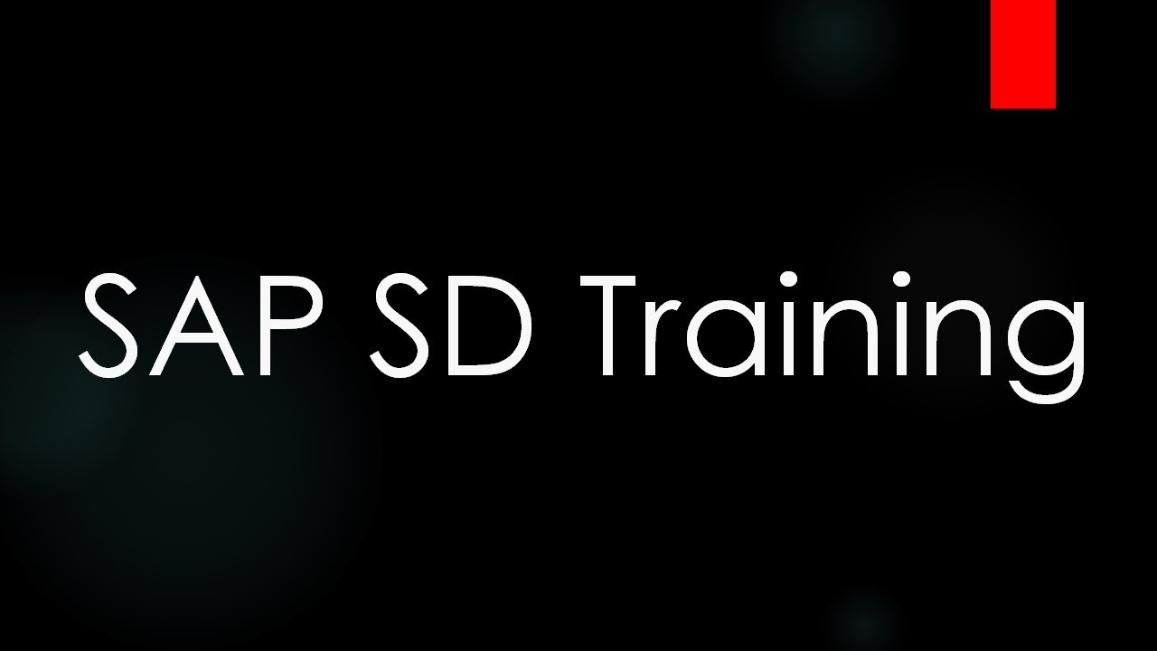 SAP SD Training - Rebate Processing Overview (Video 58) | SAP SD