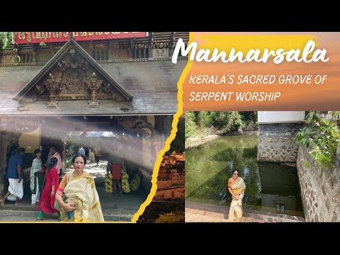 Mannarasala Temple: Kerala’s Sacred Grove of Serpent Worship | sojourn ...