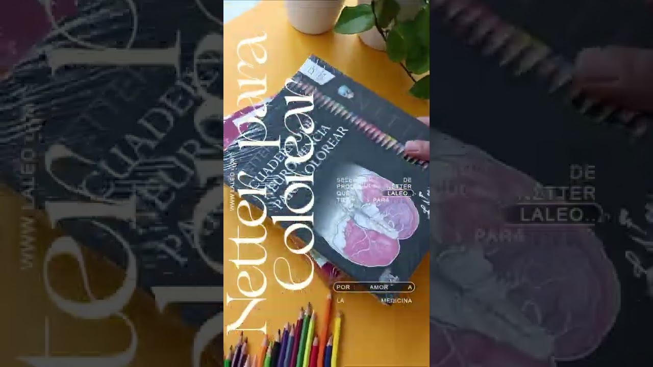 Tenemos Todos Los Netter Para Colorear Que Quieras