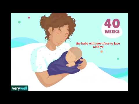 Pregnancy week by week || fetal development || fetus growth during pregnancy || 1 to 40 weeks