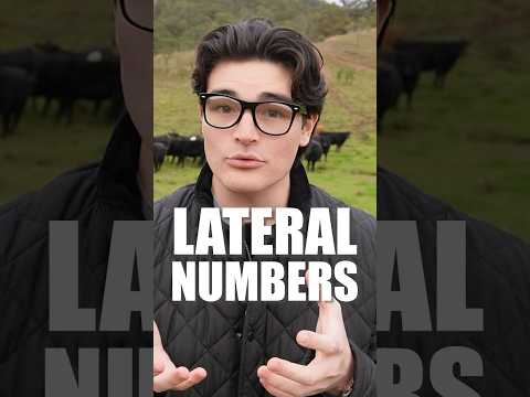 Why are imaginary numbers… imaginary?