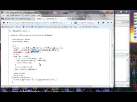 Java Programming: IO Stream (from JPassion,com)