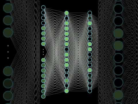 Unveiling the Mind of AI Revolutionizing Image Recognition
