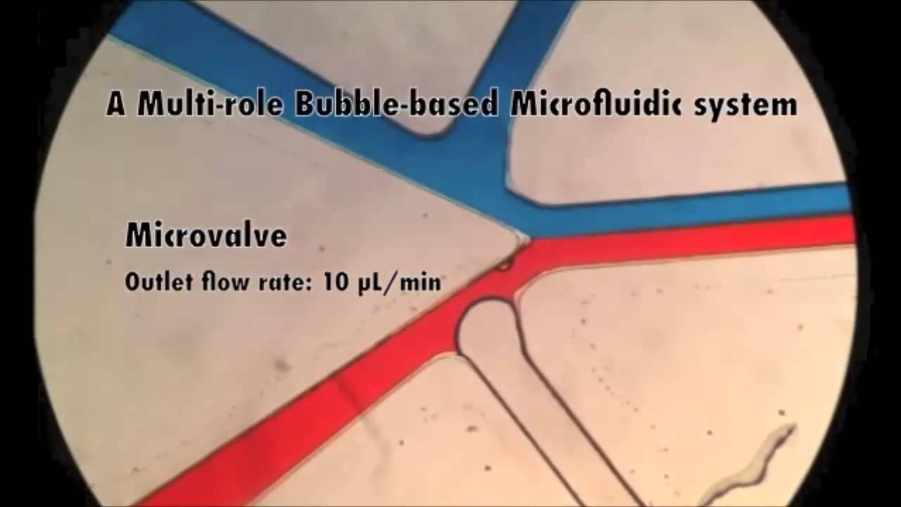 A multi-functional bubble-based microfluidic system