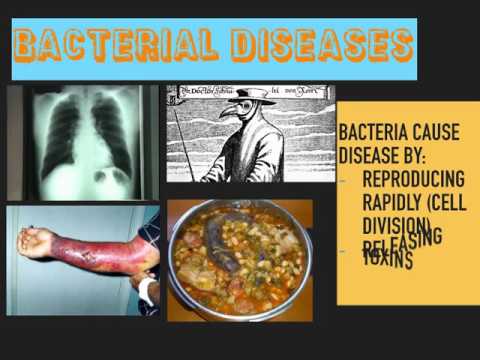 Communicable Diseases GCSE