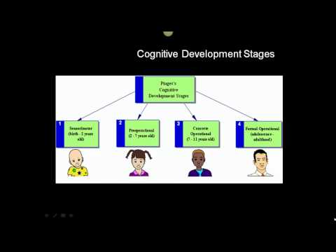 Summary | Developmental Approaches to Learning