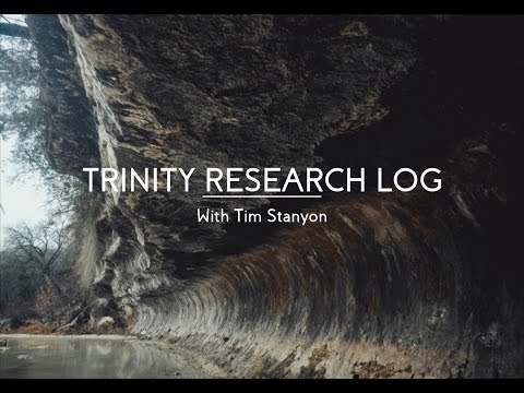 Trinity Log 43 Different Definitions of Perichoresis