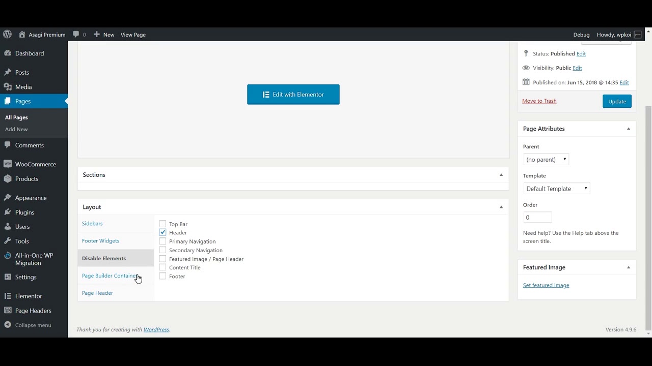 WPKoi Asagi- Page and post options