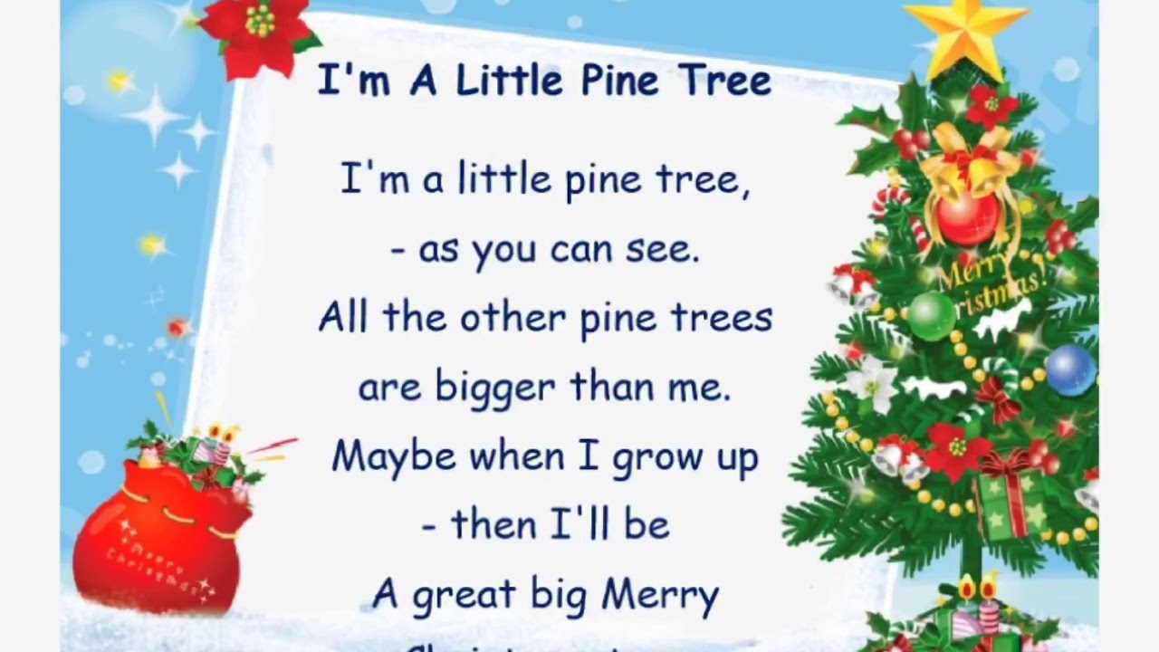 I’m a little pine tree - Song