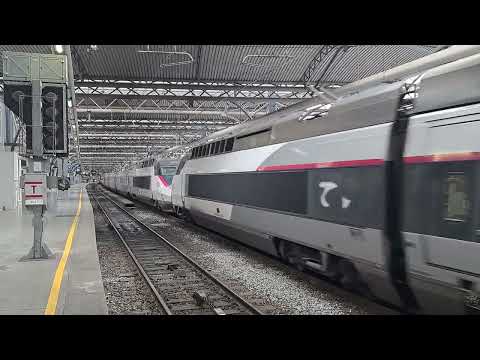 2X SNCF TGV inOUI vertrekt van brussel zuid