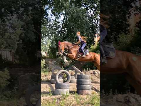 I miss jumping 🙂↕️#on #fyp #foryourpage #oldenburghorse #horseriding #horsegirl #oldenburghorse