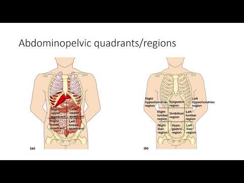Lecture 1A Anatomical Terms and Directions