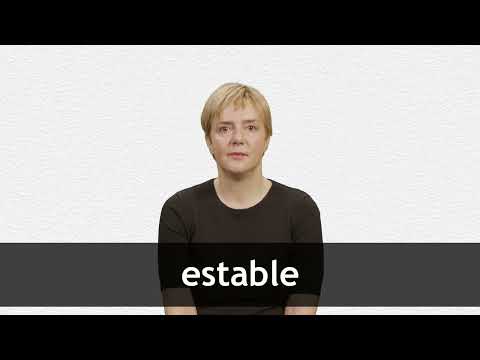 English Translation of “ESTABLE” | Collins Spanish-English Dictionary