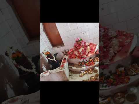 Magical moments at Mahamaya Mandir #mahamaya #shorts #miracle #hinduism #devi #adishakti