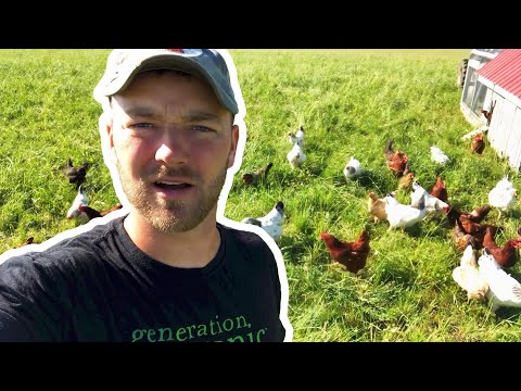 Our chickens can go to Florida if they want to | Jordan Settlage | Organic Valley