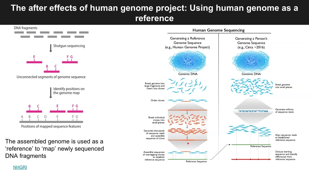 DH607 Fall 2024 Lecture 07 - DNA mapping algorithms