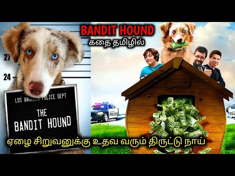 திருட்டு நாயும் ஏழை குடும்பமும்|TVO|Tamil Voice Over|Tamil Dubbed Movies Explanation|Tamil Movies