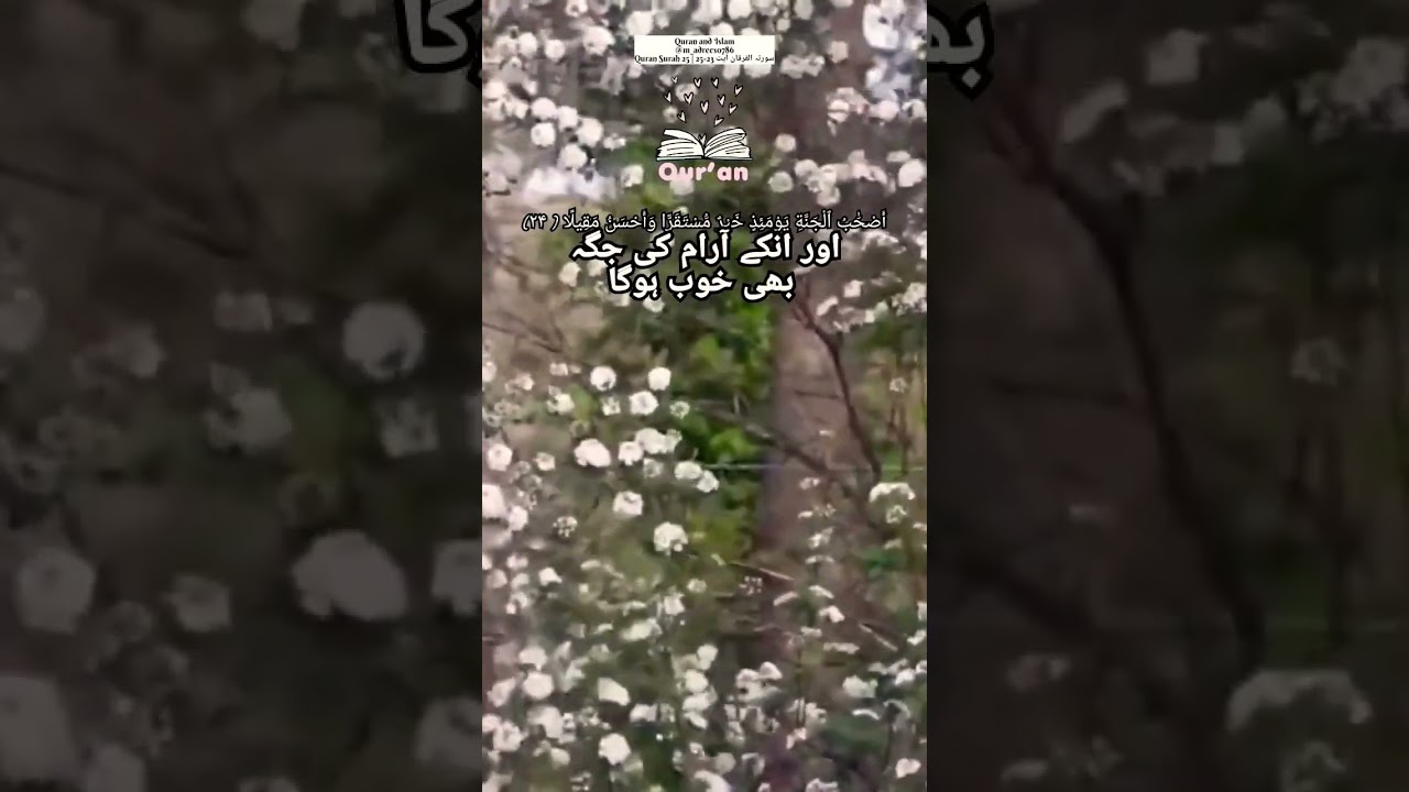 Quran Surah 25 surah al furqan ayat 23 25 surah al furqan