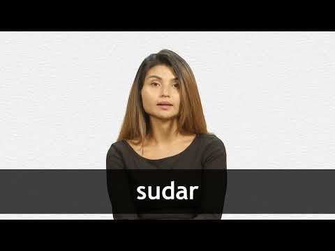 Traducción en inglés de “SUDAR” | Collins Diccionario español-inglés