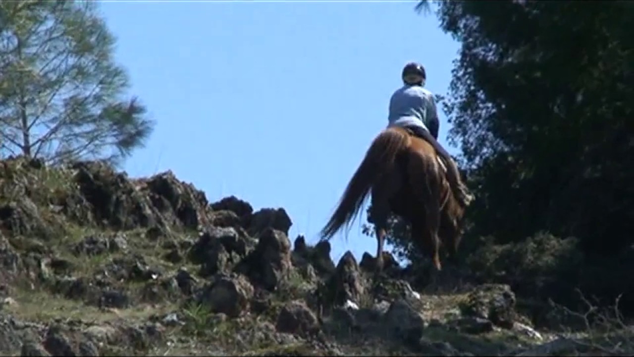 POTATO RICHARDSON’S BOOTCAMP