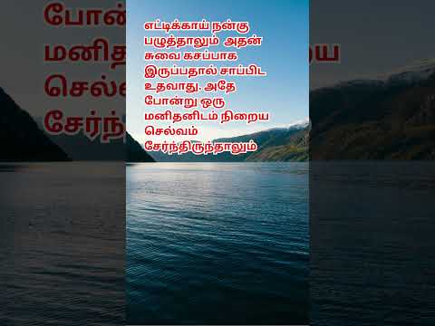 Conclusion Unveiled: Understanding Tamil Palamoligal’s True Meaning Wrap-Up: Meaning Demystified