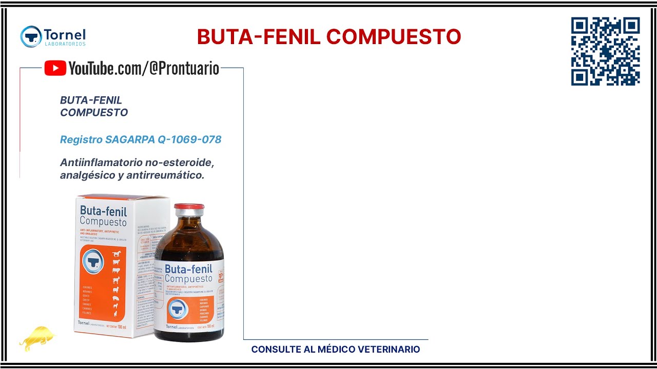 BUTA-PHENYL COMPOUND