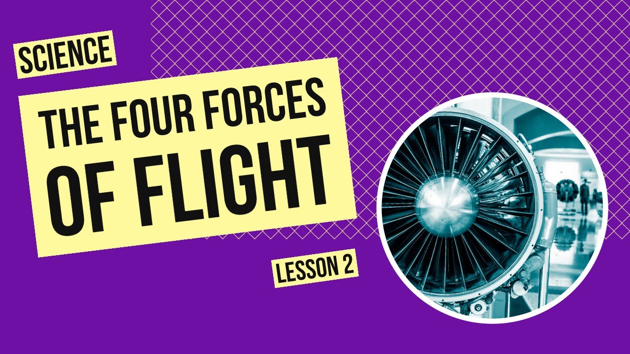 The Four Forces of Flight: Lift, Weight, Thrust, and Drag | Science Lesson