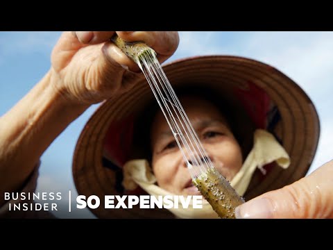 Why Lotus Silk Is So Expensive | So Expensive | Business Insider