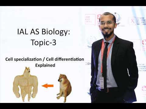 IAL Biology: Cell specialization / Cell differentiation Explained