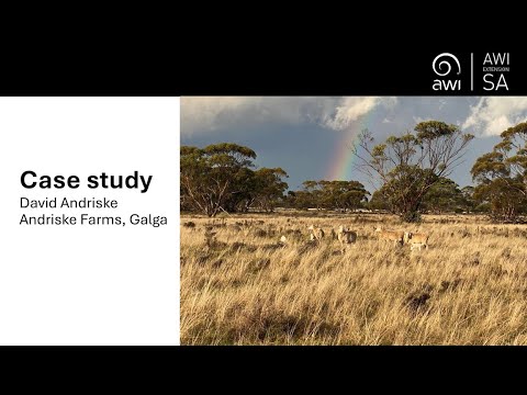 Case Study: Using eID for productivity & profitability at Andriske Farms, Galga with David Andriske