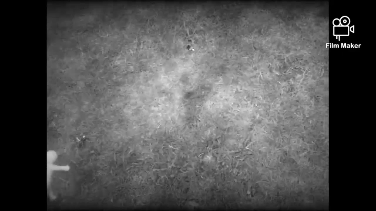 Cretur3e (Stick Bug Extra)