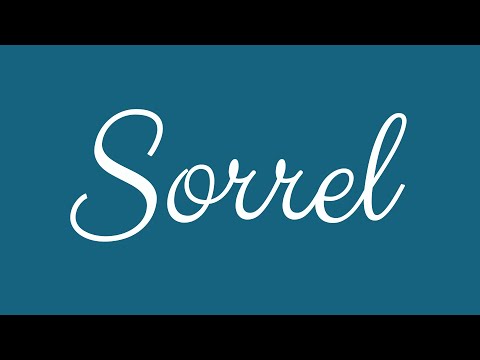 Learn how to Sign the Name Sorrel Stylishly in Cursive Writing