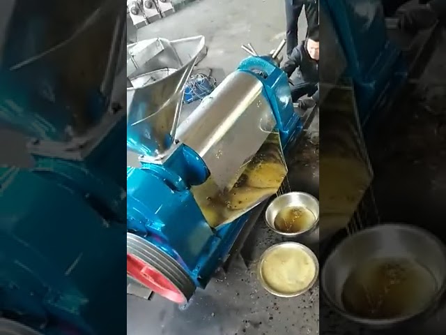 Oil Extraction Machine - Cold Press Oil Machine Trader - Retailer from ...