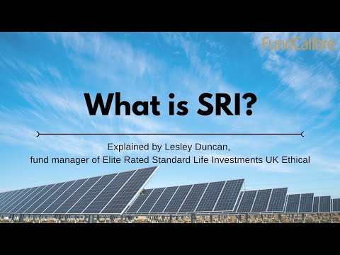Ethical Investing: social responsible investing (SRI) explained