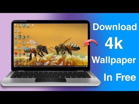 How To Download 4K Wallpapers / Thems For Laptop/PC - Edition 2024