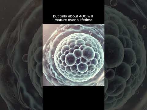 The Human Egg: Amazing Facts You Didn't Know! #science #oocyte #biology