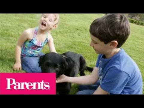 Manners & Responsibility Raising Responsible Pet Owners | Parents