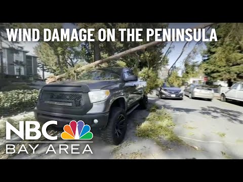 Gusty Winds Knock Over Trees, Cause Damage on the Peninsula