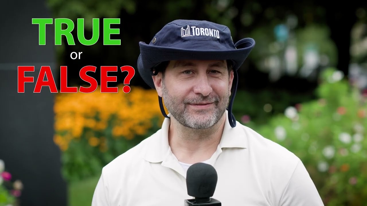 True or False: Ticks in Toronto