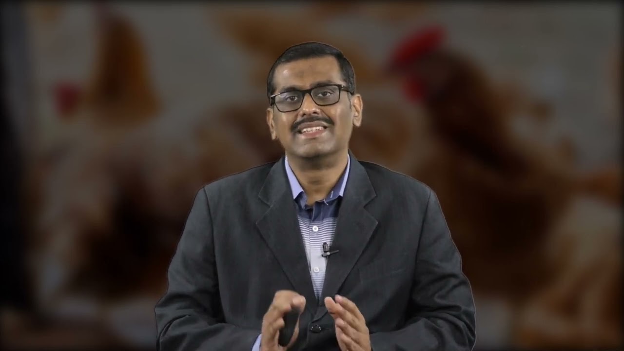 Government's Policies Programmes - Poultry