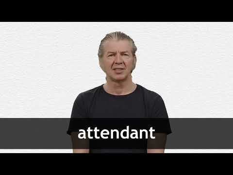ATTENDANT Definition und Bedeutung | Collins Englisch Wörterbuch