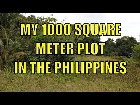 My 1000 Square Meter Plot In The Philippines.