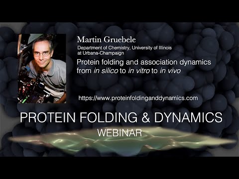 Martin Gruebele, 29.6.20- Protein folding and association dynamics